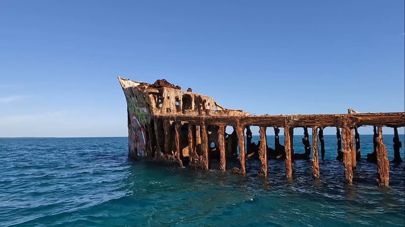 Cruise Shore Excursions - Snorkeling the Historic SS Sapona Shipwreck ...