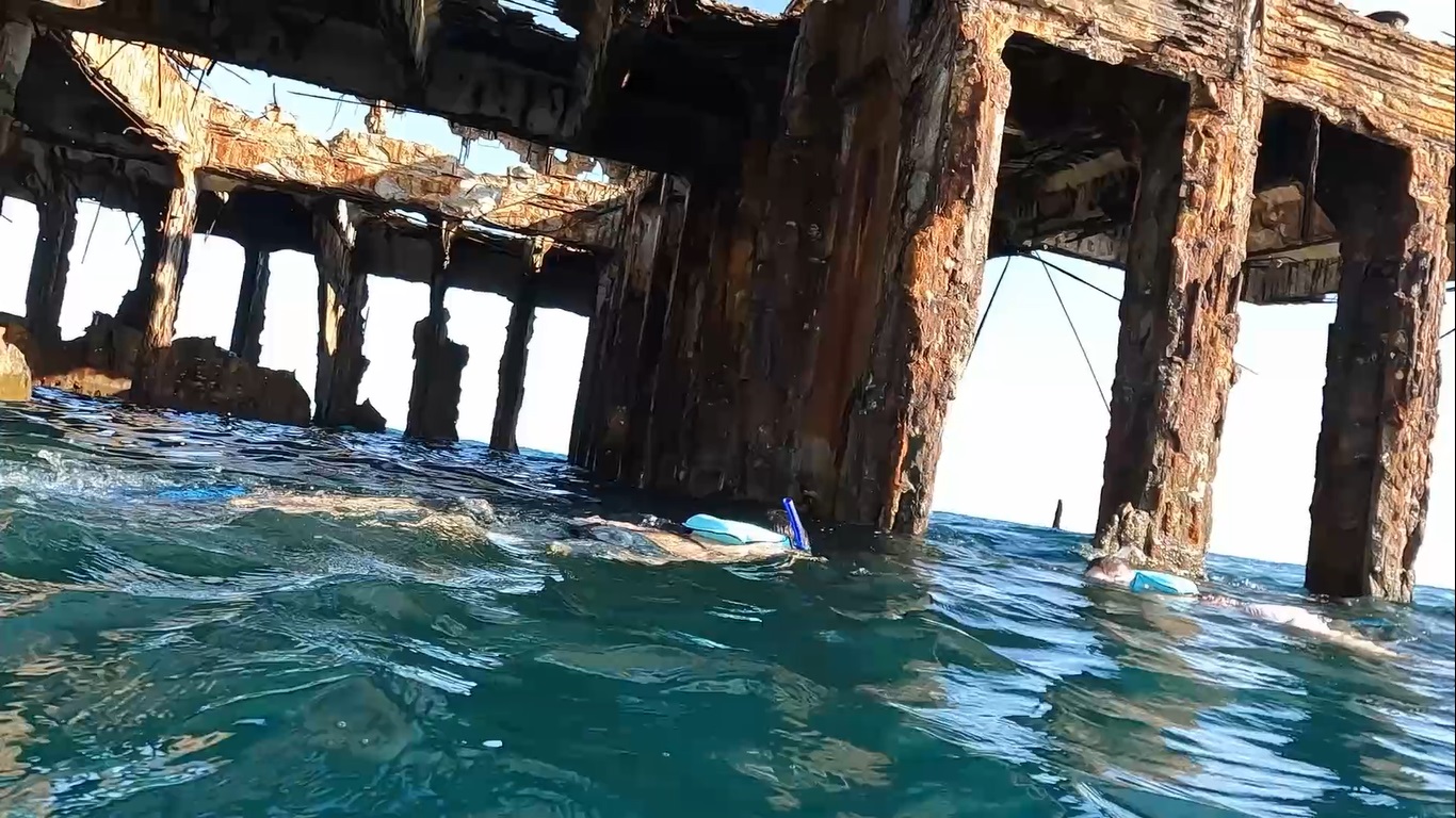 Cruise Excursion Shorts - SS Sapona Shipwreck Snorkeling Carnival ...