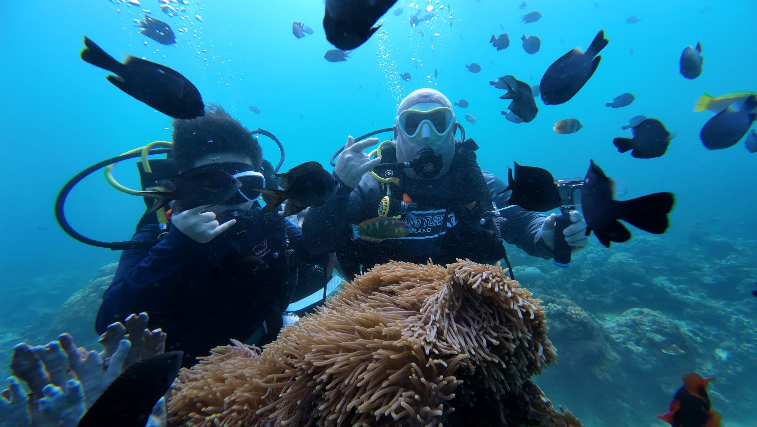 Travel Experiences - Scuba Diving Coral Garden Reef in Boracay ...